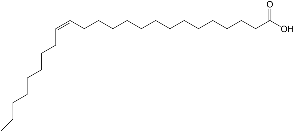 Nervonic acid – Point of Interest