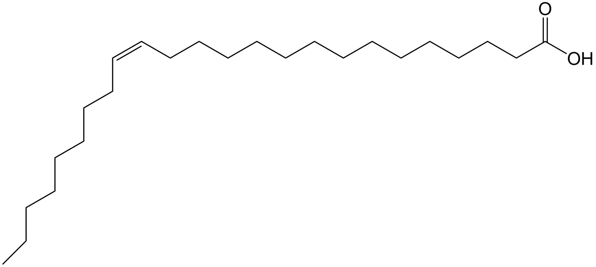 Nervonic acid – Point of Interest
