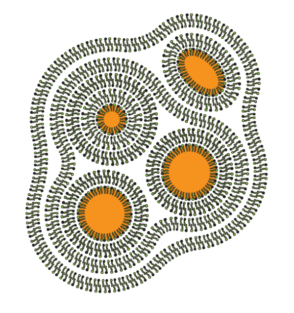 Lamellar gel networks – Point of Interest